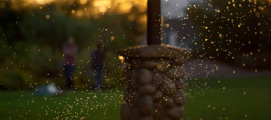 Springtime Swarm Season - Pests to Prepare For in Tennessee